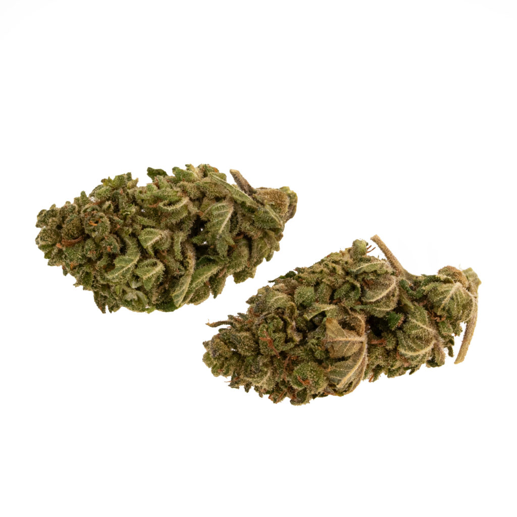 CBD Blüten schnell, diskret & günstig bestellen | CBDblueten.de